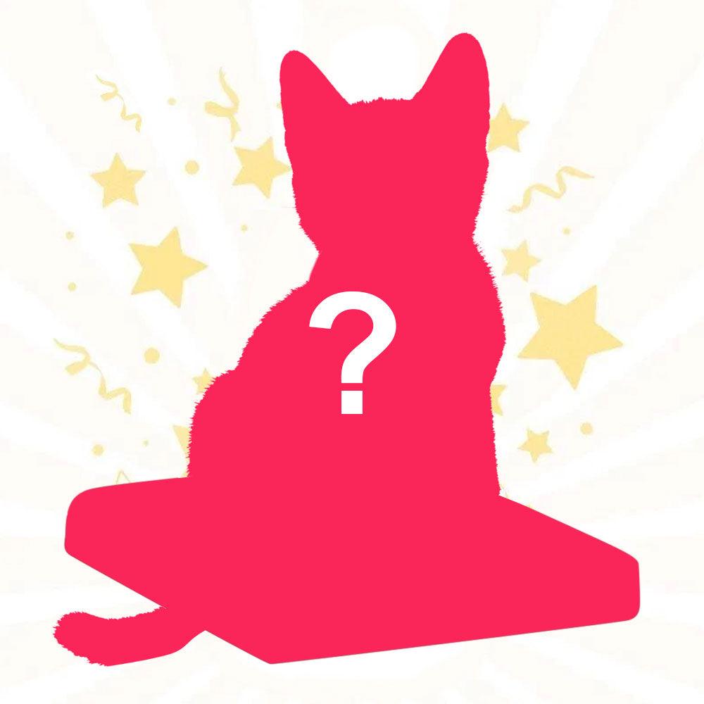 Fully Custom Bobbleheads From Photo - Personalized Bobbleheads Gifts ...